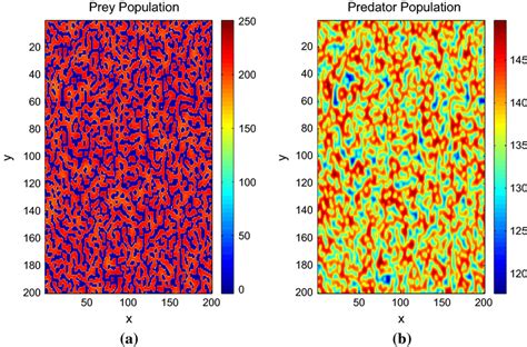 Left Panel Hopf Turing Spatial Pattern Right Panel The Spatial