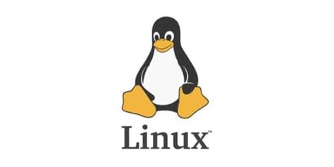 Linux Vs Windows Hosting Hangisini Se Melisiniz Niobe Hosting