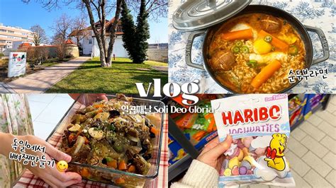 Sub•vlog🇩🇪 52 오늘 뭐 먹지😋 독일 주부일상 임신 32주👶🏻 ️ 장보고 요리하는 집밥 브이로그 오븐파스타