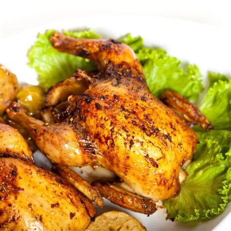 Cornish Chickens Of All Kinds Whats The Difference Pampered Chicken Mama Raising Backyard