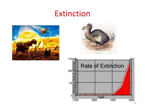 Ppt Macroevolution Speciation Powerpoint Presentation Free