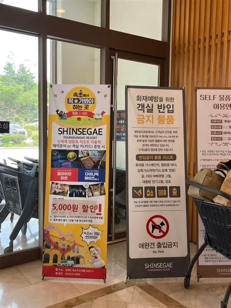 속초 신세계영랑호리조트 갤러리하우스 43평 객실 후기 네이버 블로그