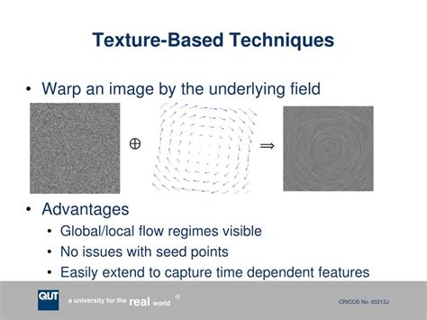 ppt visualisation of complex flows using texture based techniques