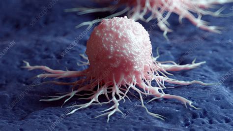 Cancer Cell Illustration Stock Image F0383971 Science Photo Library