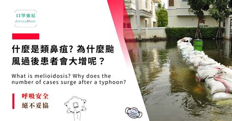 什麼是類鼻疽 為什麼颱風過後患者會大增呢？ 口罩強尼johnnymask