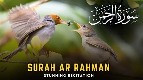 Surah Rahman Beautiful And Heart Trembling Quran Recitation YouTube