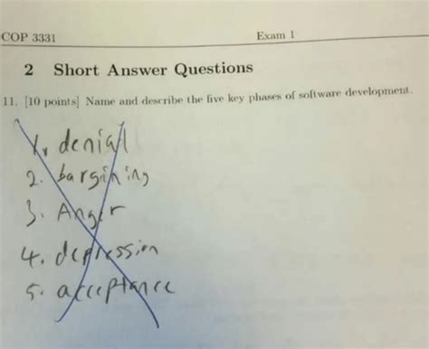 fivestagesofsoftwaredevelopment r programmerhumor