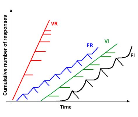 12 Intermittent Schedules Of Reinforcement Download Scientific Diagram