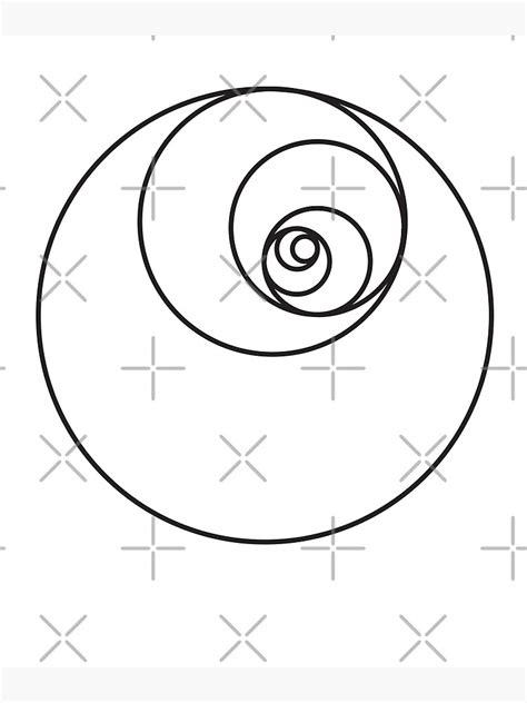 Golden Ratio Spiral Fibonacci Sequence Circles Premium Matte Vertical Poster Sold By Taylor L