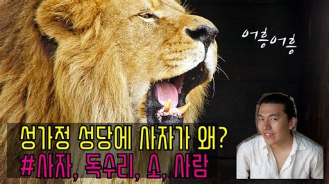 가우디 건축강의 Ep 24 성가정 성당에 사자가 왜 성경적 상징들 Youtube