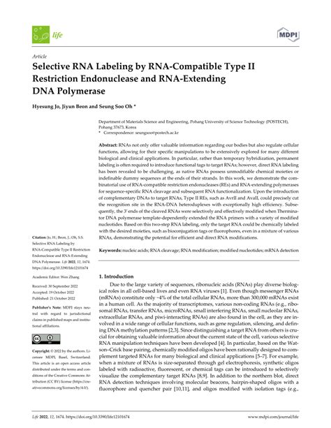 Pdf Selective Rna Labeling By Rna Compatible Type Ii Restriction