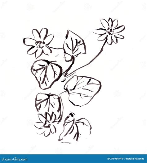 Ficaria Verna Flower Ranunculus Ficaria Or Lesser Candeline Or