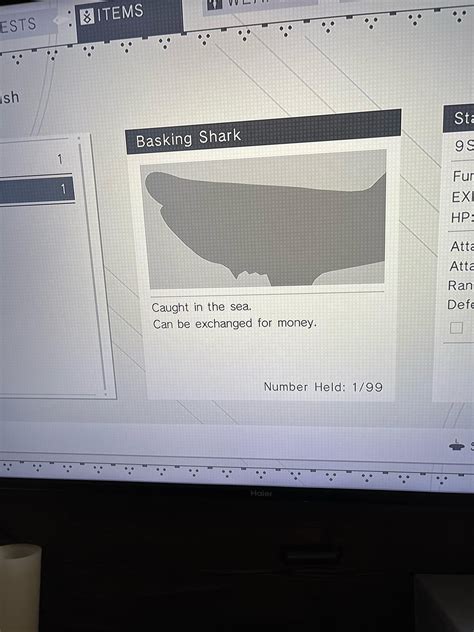 Just Caught A Whole Ass Shark Wtf Rnier
