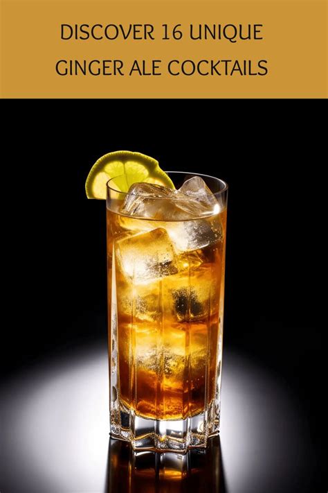 Discover 16 Unique Ginger Ale Cocktails
