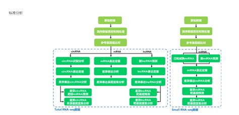 Rna Seq数据分析流程 Ⅰ Mybiodatas