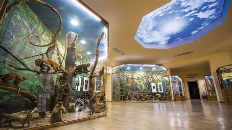 Visit The Regional Museum Of Natural History With Plovdiv City Card