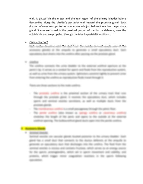 SOLUTION Male And Female Reproductive System Study Guide Studypool