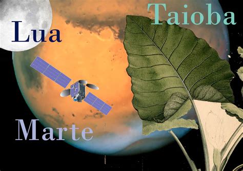 Cientistas Brasileiros Querem Plantar Taioba Em Marte Cozinha Da Marcia