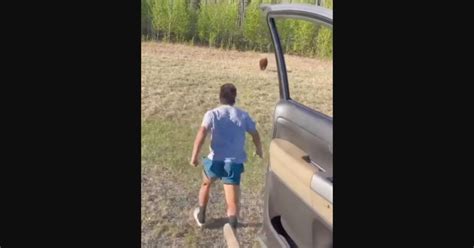 Yellowstone Touron Could Face Jail Time After Being Caught On Video