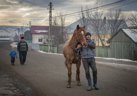 Projects Cpt Photography