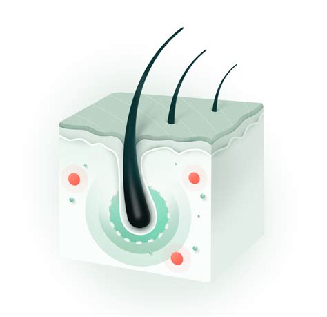 Complete Hair Loss Spray