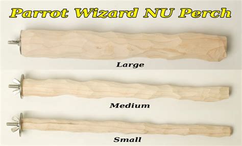 Nu Perch Official Page Of The Parrot Wizard Nu Perch For Parrots