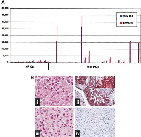 Gene Expression Correlates With Protein Expression Gene And Protein