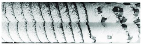 Photo Showing A Wet Twin Screw Granulation Tsg Wet Of Download Scientific Diagram