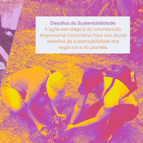 Conheça o livro Desafios da Sustentabilidade Voluntariado Empresarial