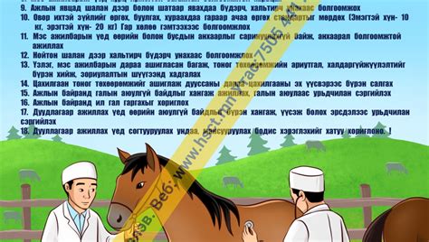 Малын эмчийн аюулгүй ажиллагааны зааварчилгаа D1d262 Малын эмчийн аюулгүй ажиллагааны