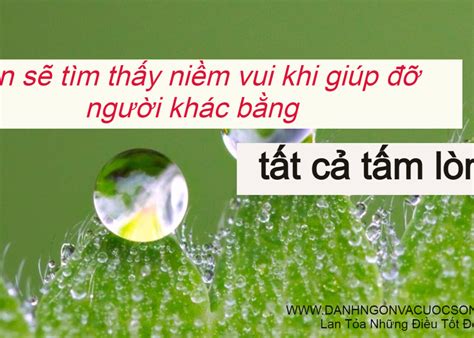 Những Câu Nói Hay Về đam Mê Khát Vọng Kỹ Năng Sống Lý Tưởng Sống