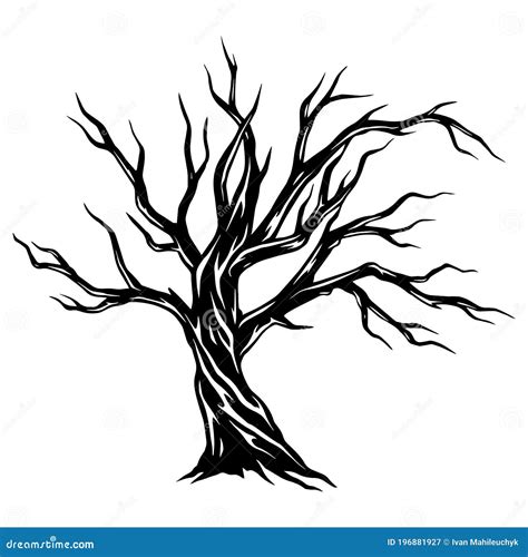 Árbol Seco Sin Hojas Ilustración Del Vector Ilustración De Ramita