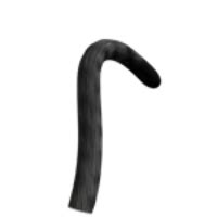 Cat Tail Png Transparent Png Mart