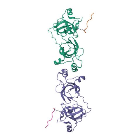 Rcsb Pdb 4edu The Mbt Repeats Of Human Scml2 In A Complex With