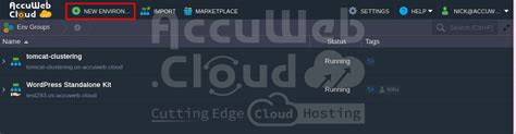 Tomcat Cluster Setup Accuwebcloud Guide