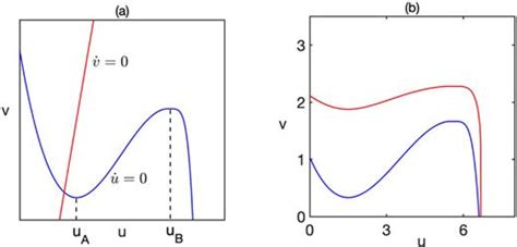 Sex Ducks And Rock “n” Roll Mathematical Model Of Sexual Response
