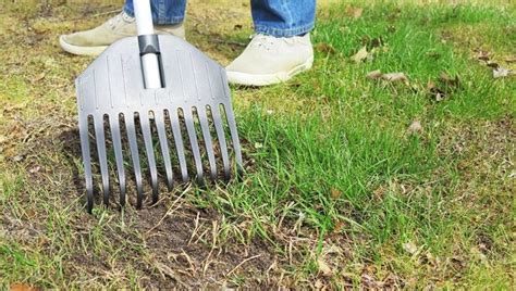 Grass Patch Repair Learn How To Fix Bare Spots In Your Lawn Gilmour
