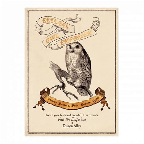 Diagon Alley Eeylops Owl Emporium Poster Minalima Owl Poster