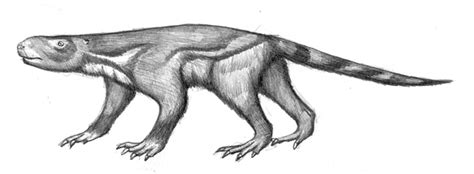 Spec Mammalia Eutriconodonta Speculative Evolution Wiki Fandom