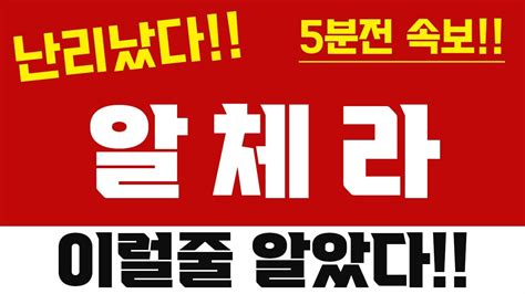 알체라 5분전 속보 난리났다 이럴줄 알았다 알체라주가전망알체라목표가알체라주가 Youtube