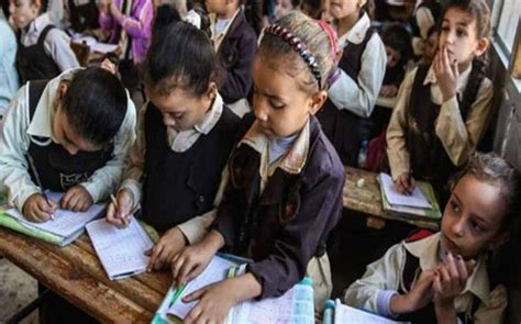 البنك الدولى نظام التعليم الجديد بمصر يعتمد على الإبداع