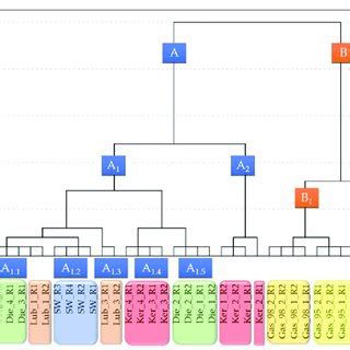 Dendrogram Obtained By The Hierarchical Cluster Analysis Hca Of The