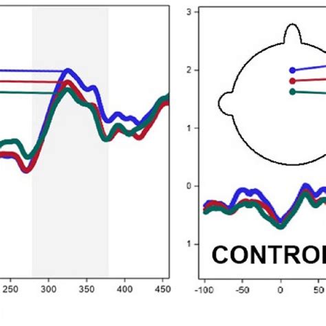 Planar Projection Of The Biosemi 128 Electrode Array On A Head Shape
