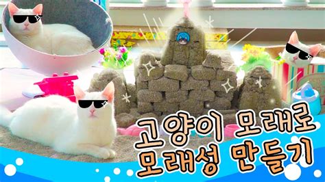 이거 실화ㅋㅋ 고양이모래로 초대형 모래성 만들기 고양이산책 Youtube