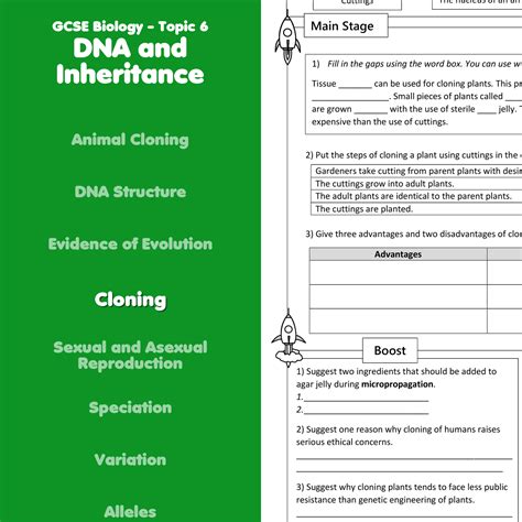 Cloning Home Learning Worksheet Gcse Teaching Resources