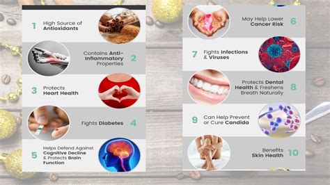 Los 10 Beneficios De La Canela Para La Salud E Historia
