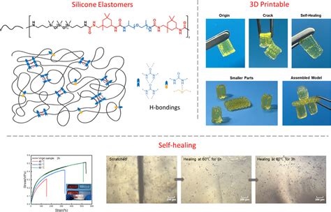A 3d Printable And Self‐healing Polydimethylsiloxane Elastomer Wei