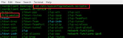 初学linux之网络配置ip、netmask、gateway、dns、dhcp Csdn博客