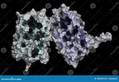 Interferon Beta Protein Cytokine Used To Treat Multiple Sclerosis Ms 3d Rendering Stock
