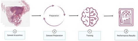 A Novel Convolutional Neural Network Algorithm For Histopathological